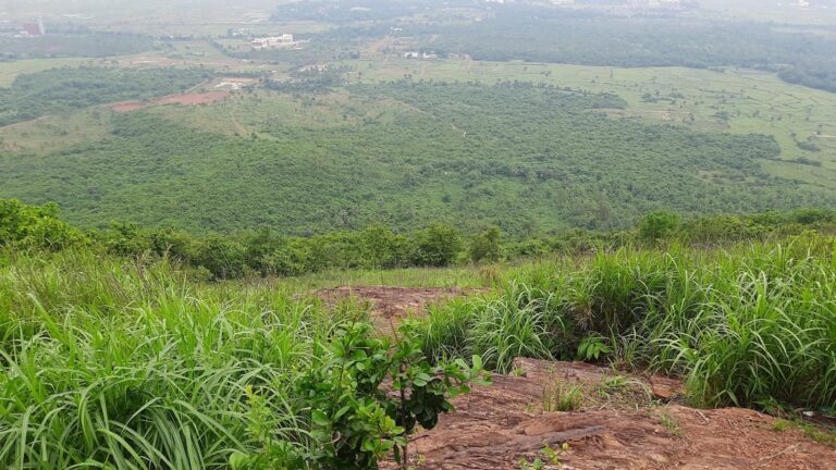 Barunei Hill Station and Temple at Karunei Pitha, Khordha, Orissa ...