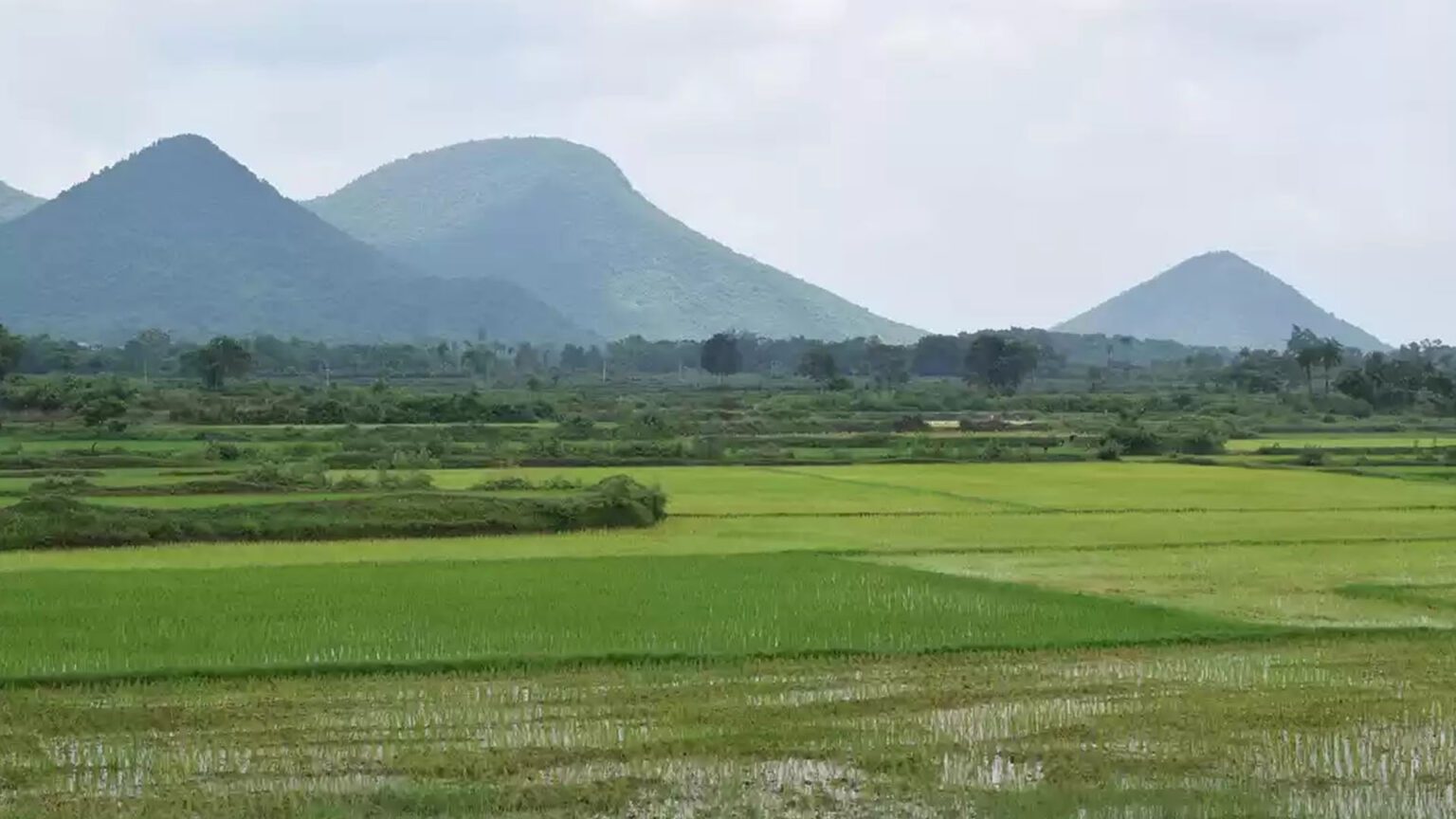 Bonda Hill Station in Khairput, Malkangiri, Orissa - Orissa Guide