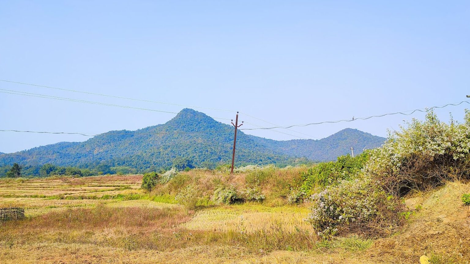 Tikarpada Crocodile Reproduction Wildlife Sanctuary, Angul, Odisha ...