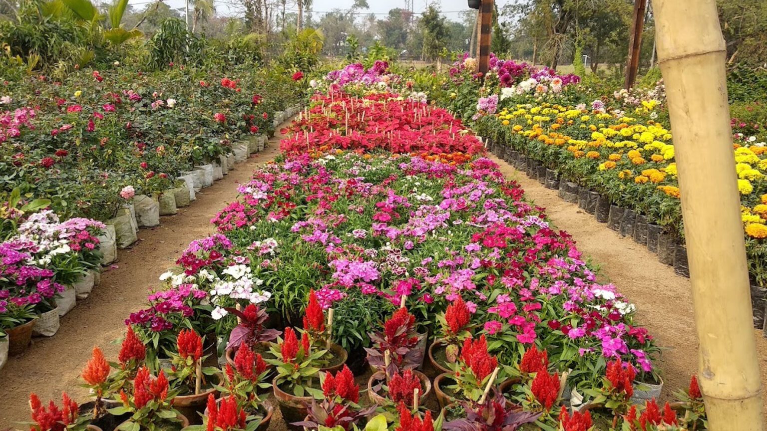 Barabati Fortress, Biju Patnaik Society, Cuttack, Odisha - Orissa Guide